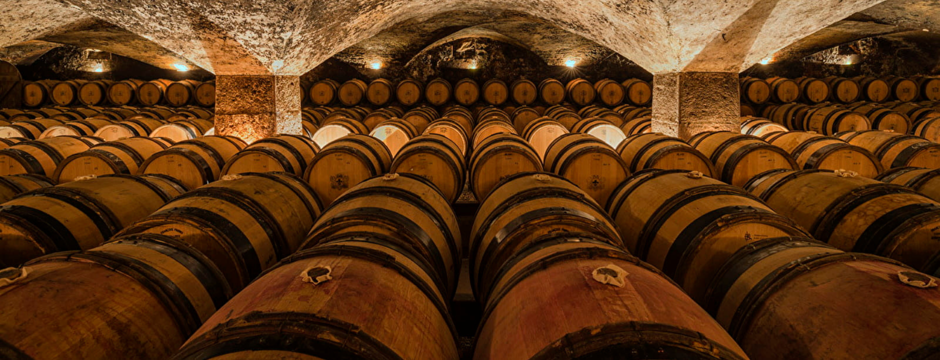 The Wines: A Taste of Burgundy